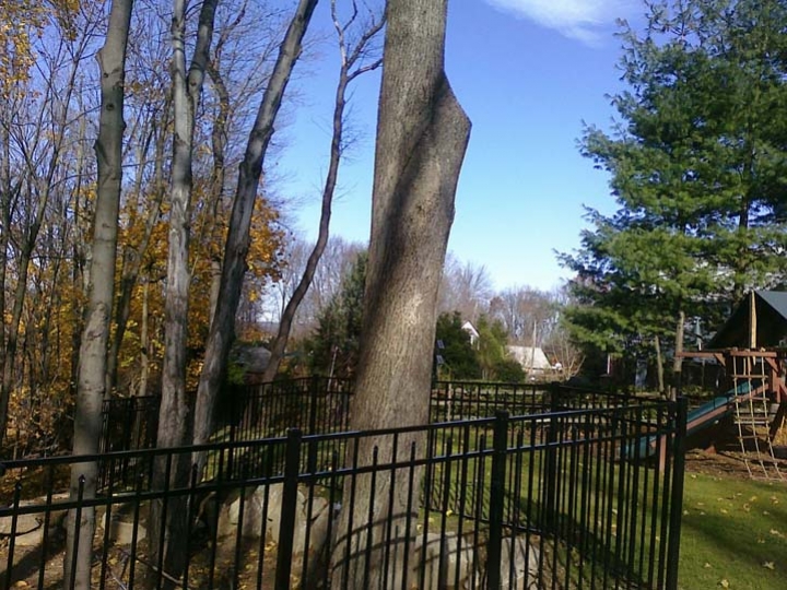 Gallery – Vanguard Aluminum Fences